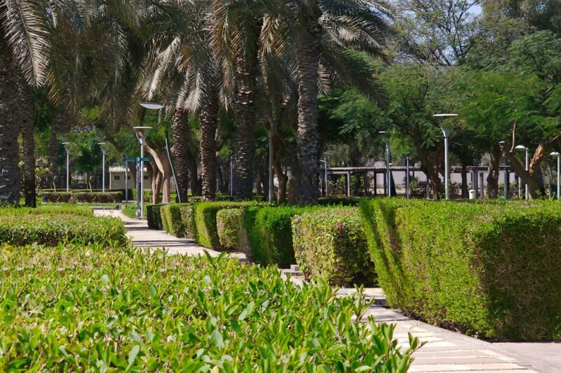 Services-Construction – Orient Irrigation Services LLC
