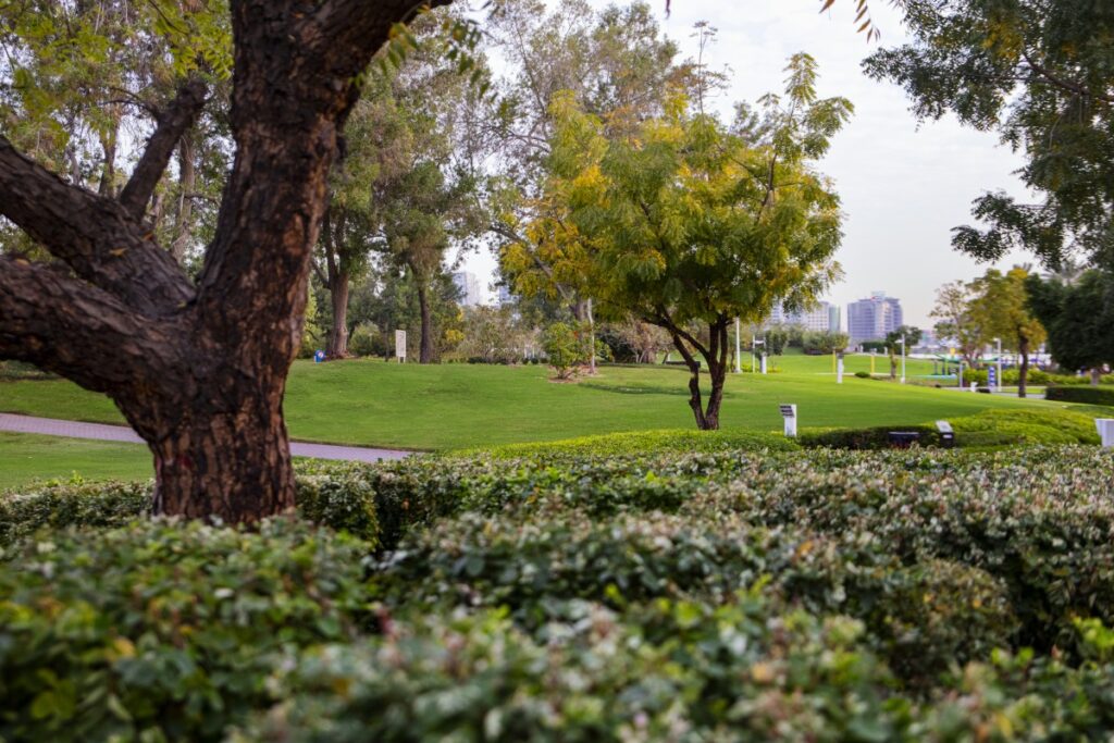 Services-Construction – Orient Irrigation Services LLC